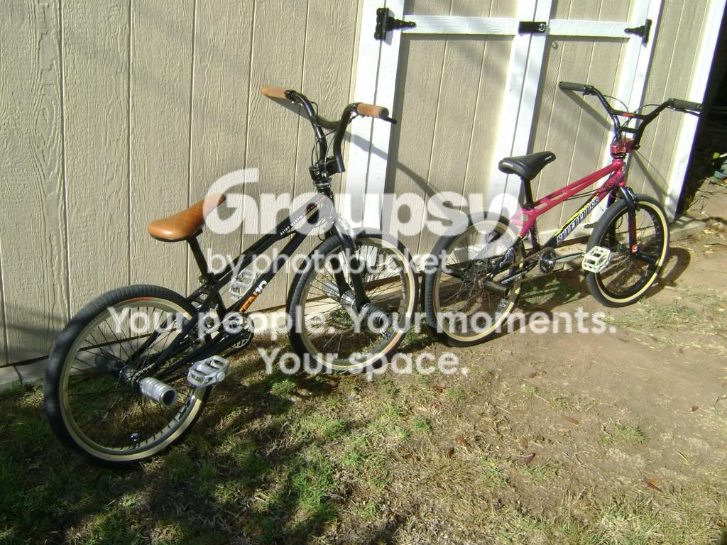 Do any bike companies still make twin top tube frames?? - BMXmuseum.com ...